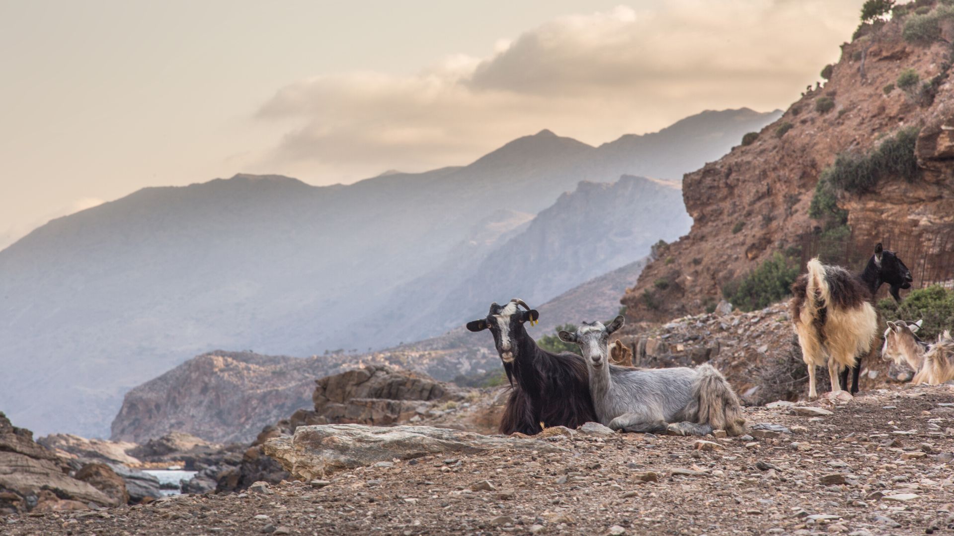 Excursions in Crete Greece – The best 5 tours in 2023 - ZenGroup